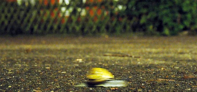 Losing Can Be Useful, If You Learn To Get Good At It - Fast Company