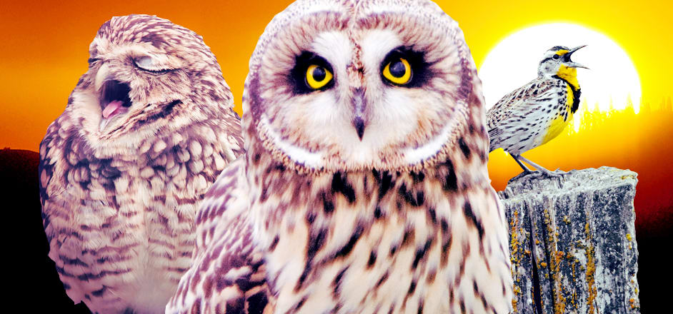 What Successful Night Owls Get Done Before Bed - Fast Company