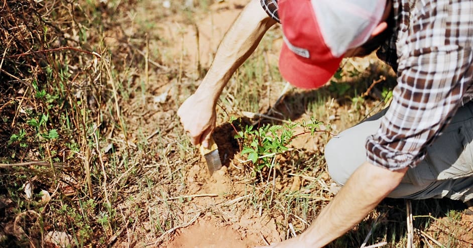 If You Dig Deep Into Your Organization, You'll Uncover The Job That ...