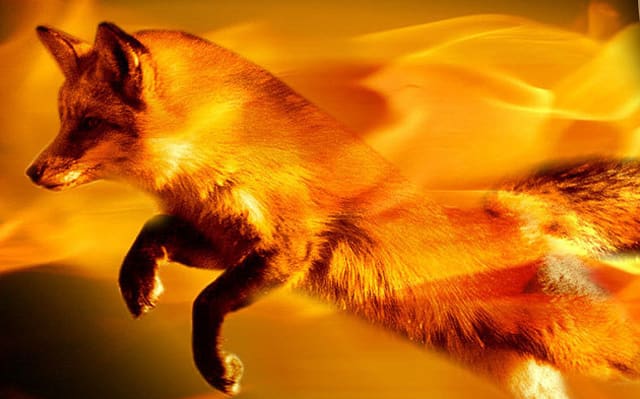 Mozilla's New Social API Lets You Bring Facebook Along Wherever You ...