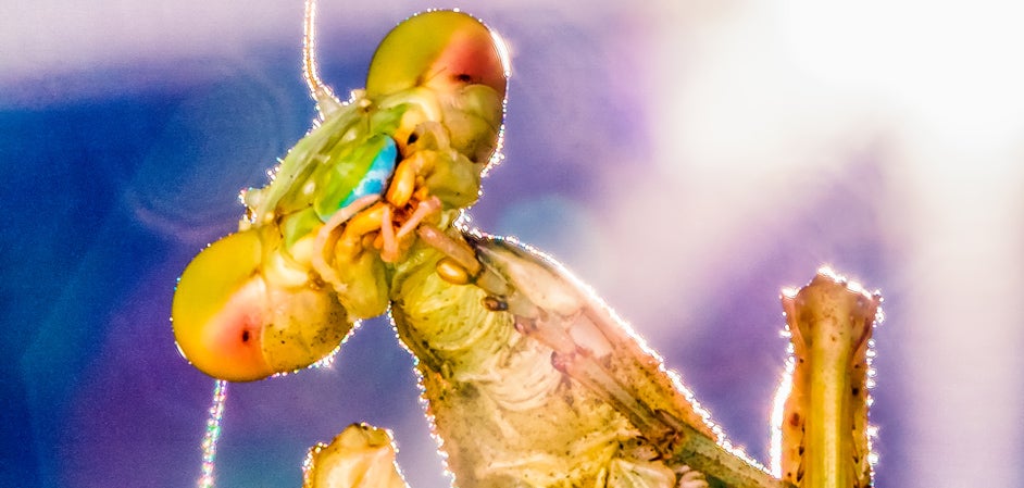 The Creative Secret Sting Uses To Write New Songs - Fast Company