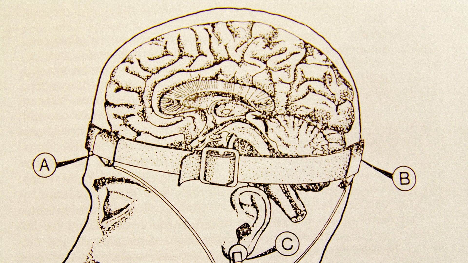 MIT Brain Scans Show That Entrepreneurs Really Do Think Different ...