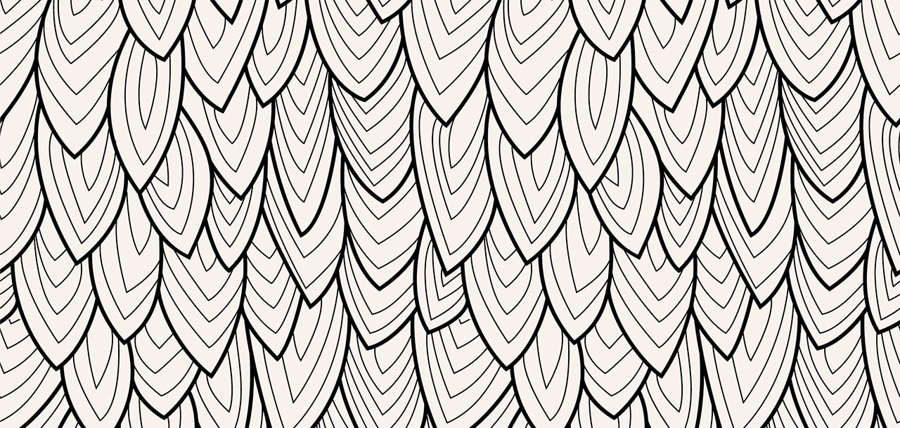 What High Dives And Roller Coasters Teach Us About Getting Comfortable ...