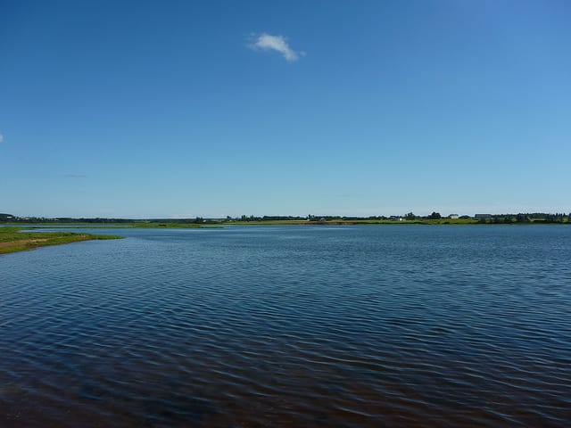 Nokia Bringing Out A PureView Windows Phone - Fast Company