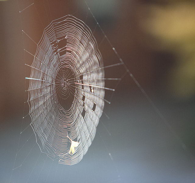 Raytheon's New Social Media Data Mining Software - Fast Company