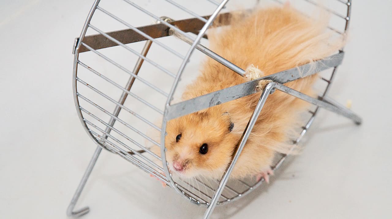 How To Tell A Job From A Career - Fast Company