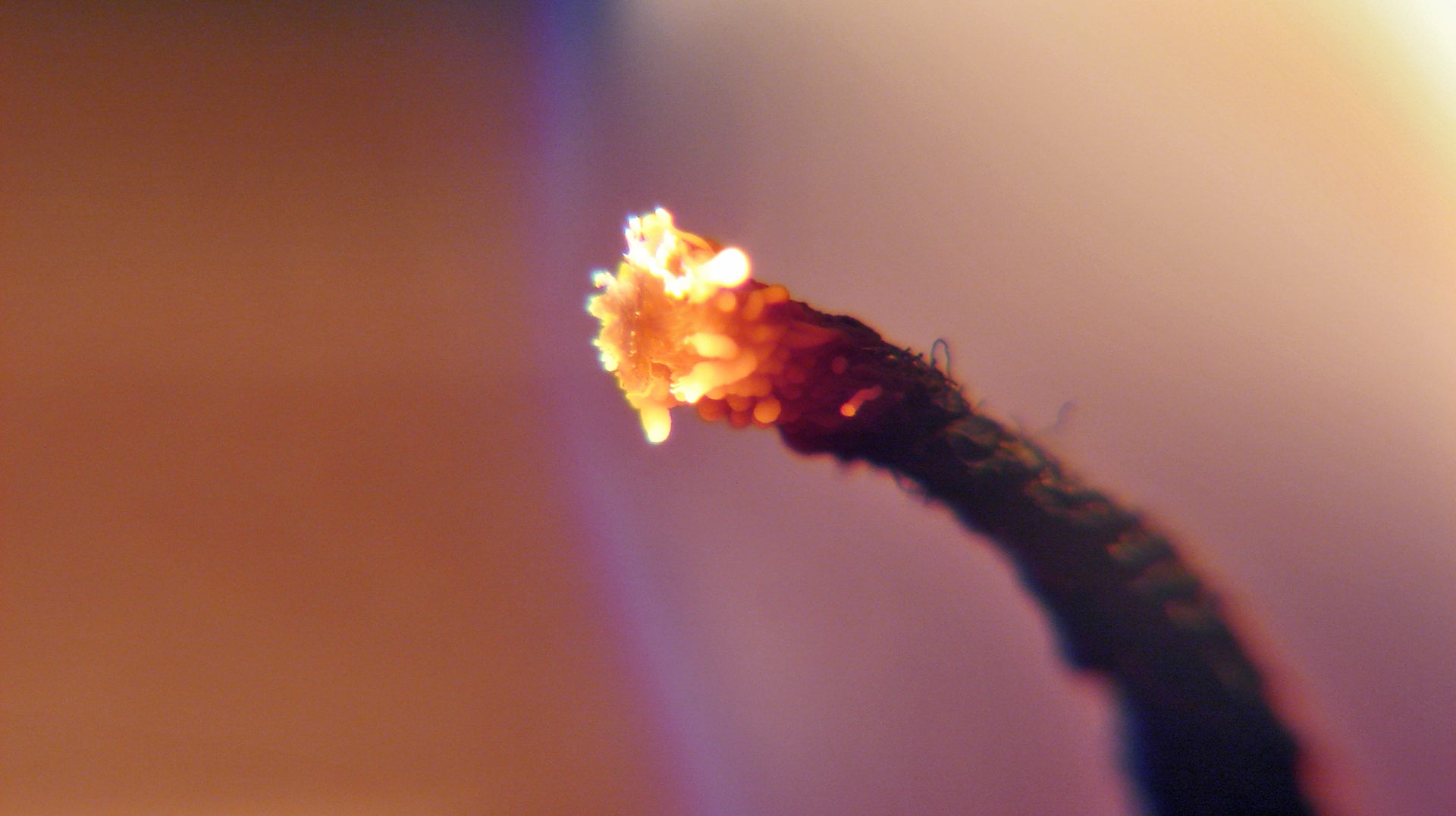Why "Hire Slow, Fire Fast" Is A Better Idea Than You Think - Fast Company