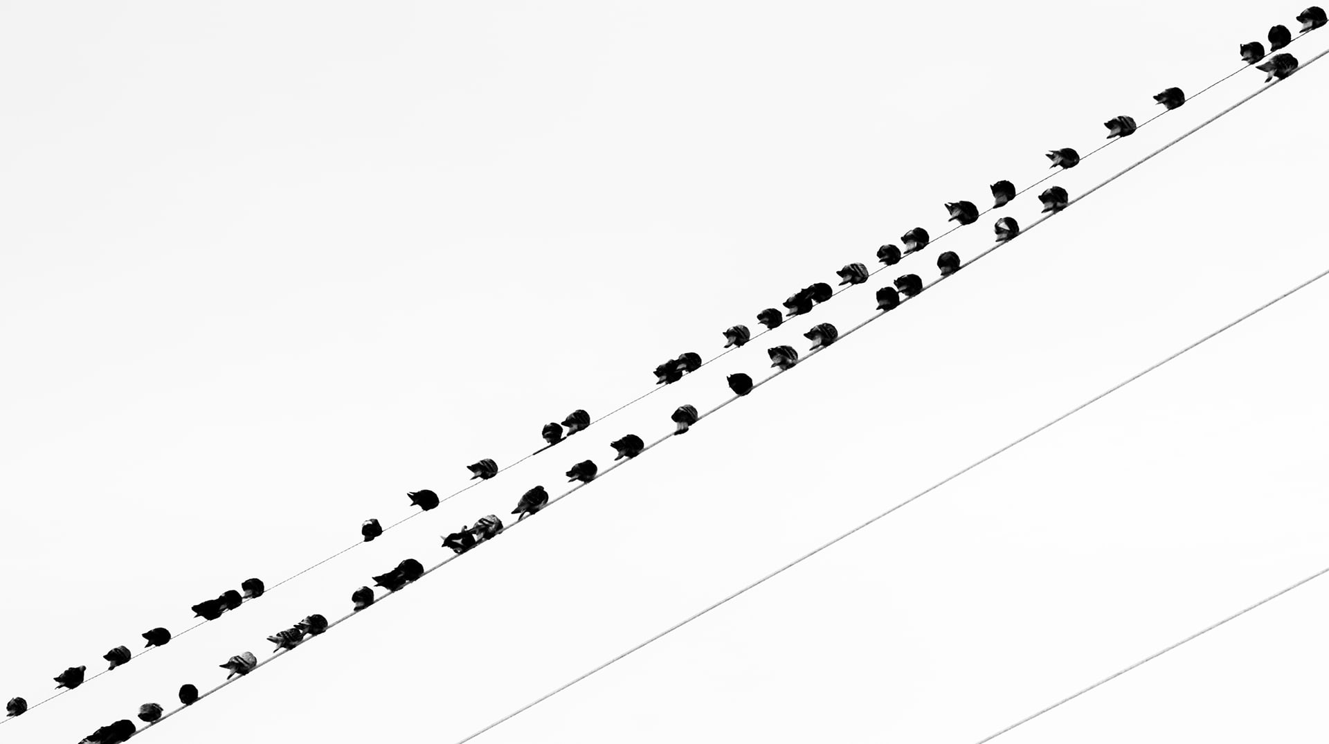 After 6 Months And 32,000 Users, App.net Finally Opens Up Free Accounts ...
