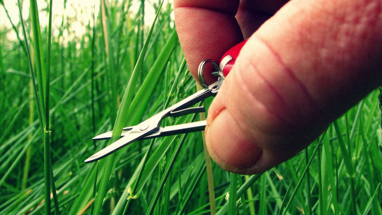 "Slashers": When Your Career Is Three Careers - Fast Company