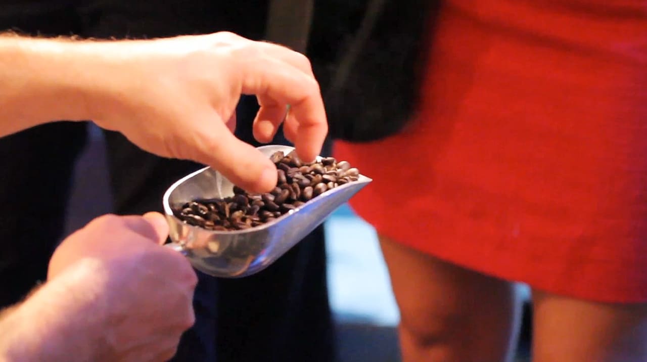 Take A Peek Inside Starbucks's $35 Million Leadership Lab [Video ...
