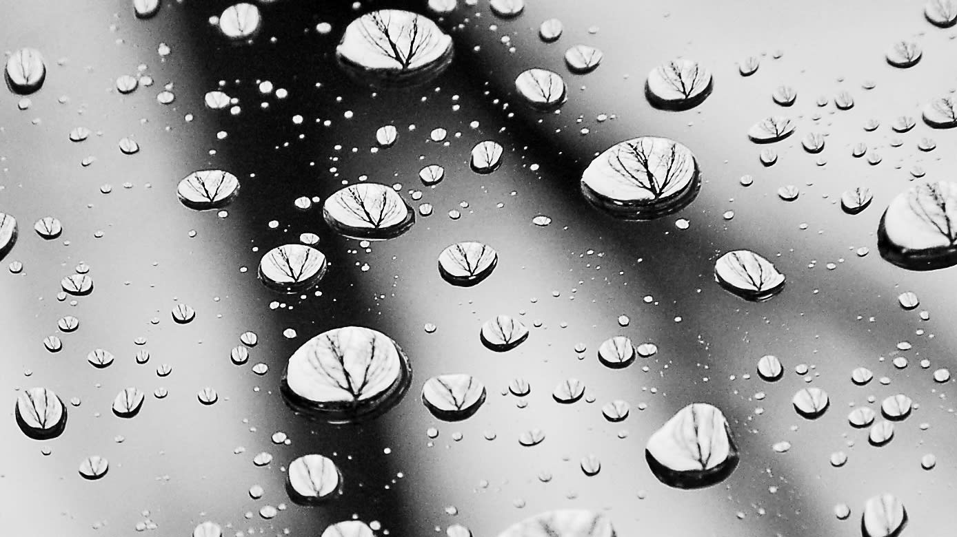 How Extreme Transparency Can Make Your Team Its Most Productive - Fast ...