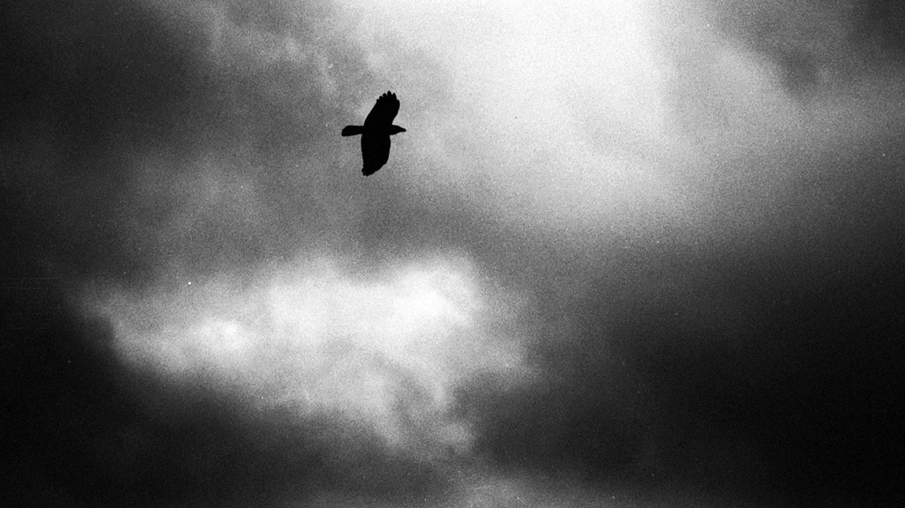 How The UN's New Data Lab In Indonesia Uses Twitter To Preempt Disaster ...