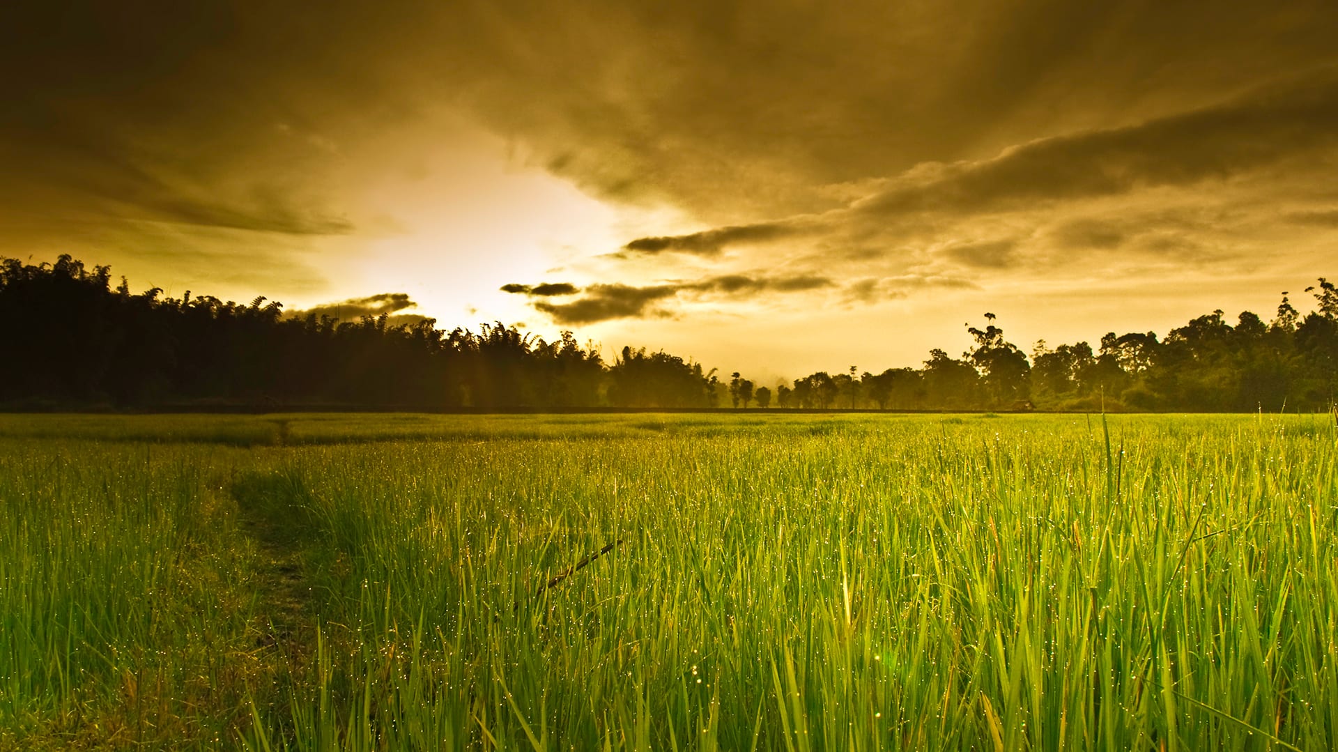 Stuck On An Idea? Walk Through The Park - Fast Company