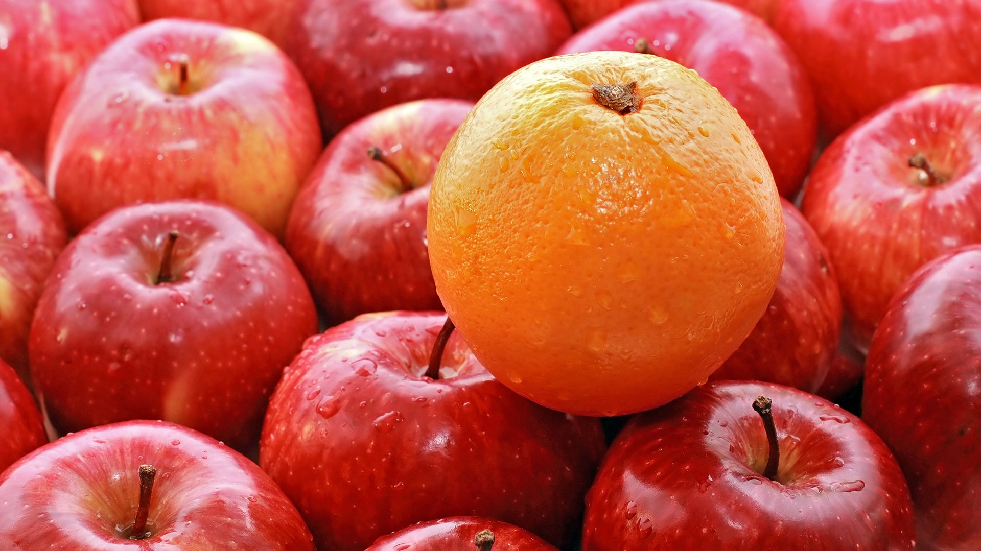Apple's New Technology Partners: What Developers Need To Know - Fast ...
