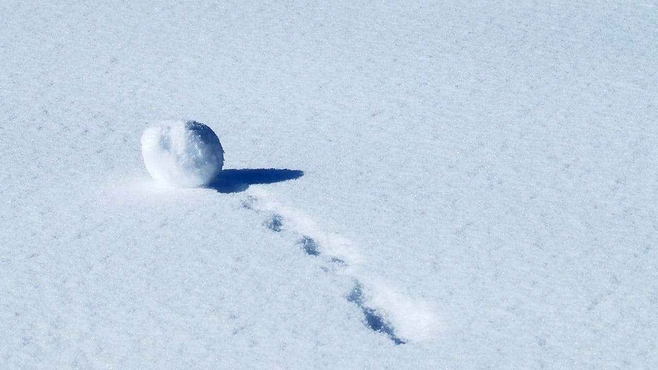 Snowball-Proofing Your Next Project - Fast Company