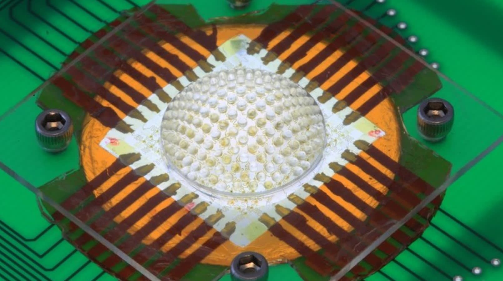 Scientists Build Electronic Lens That Works Like A Fly's Eye - Fast Company