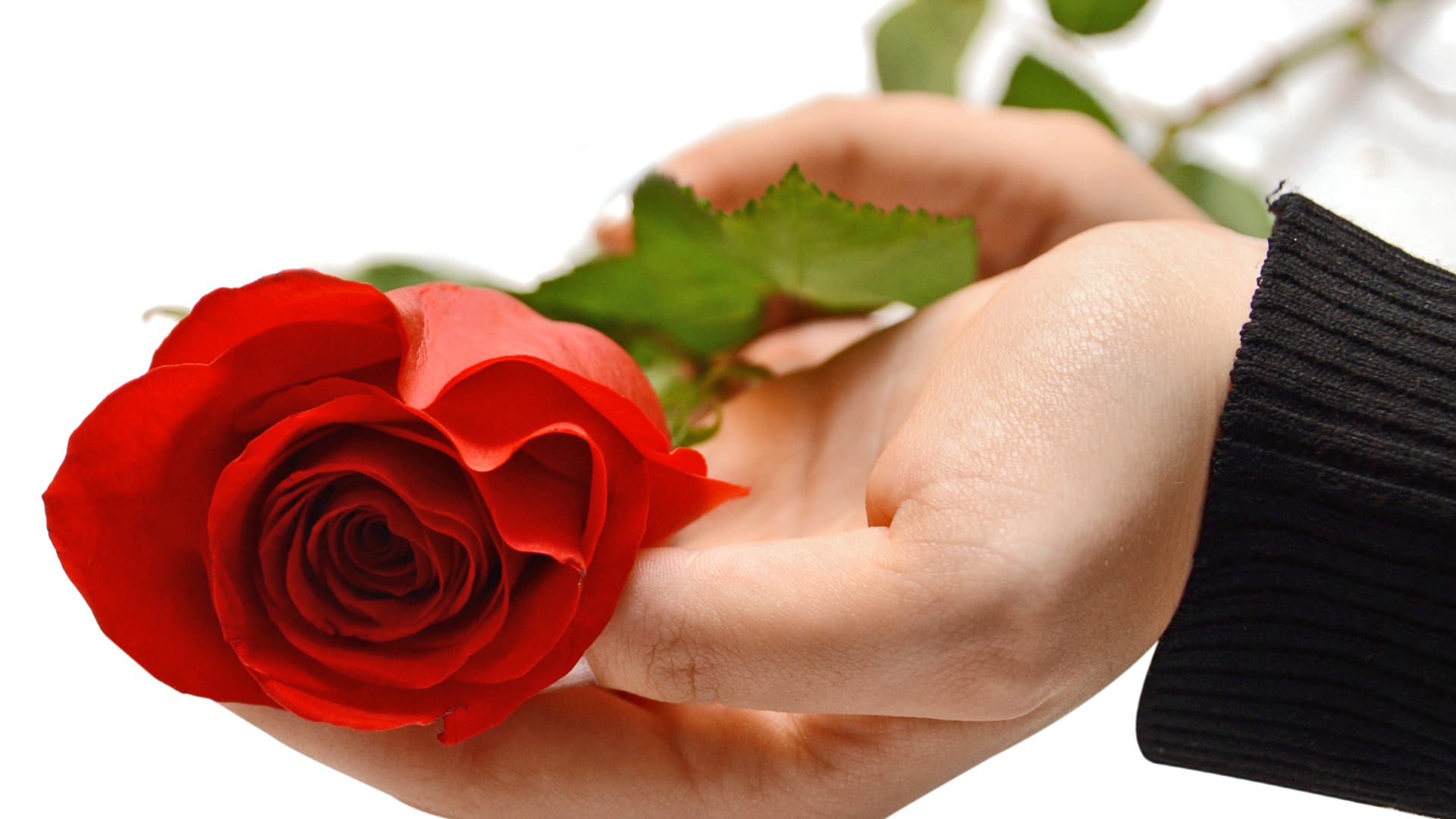 Courting Customers: The Happy Consumer Equation - Fast Company