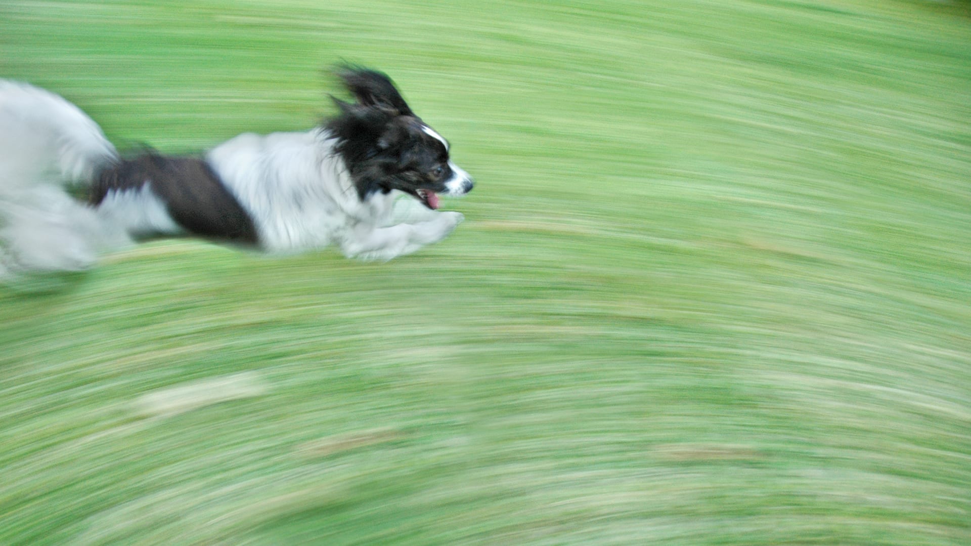 3 Reasons You Don't Realize You're Getting Sidetracked When You Are ...