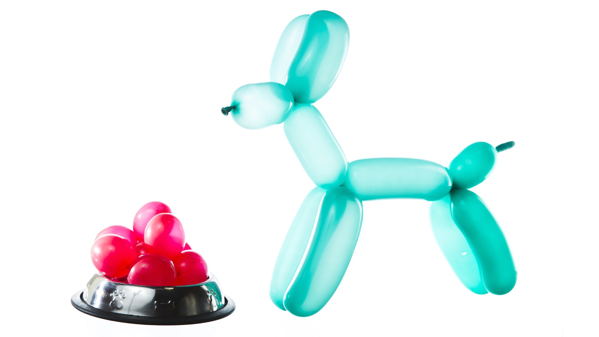 The Recommender: Vivek Kemp, Senior Video Producer And Despiser Of Cat ...