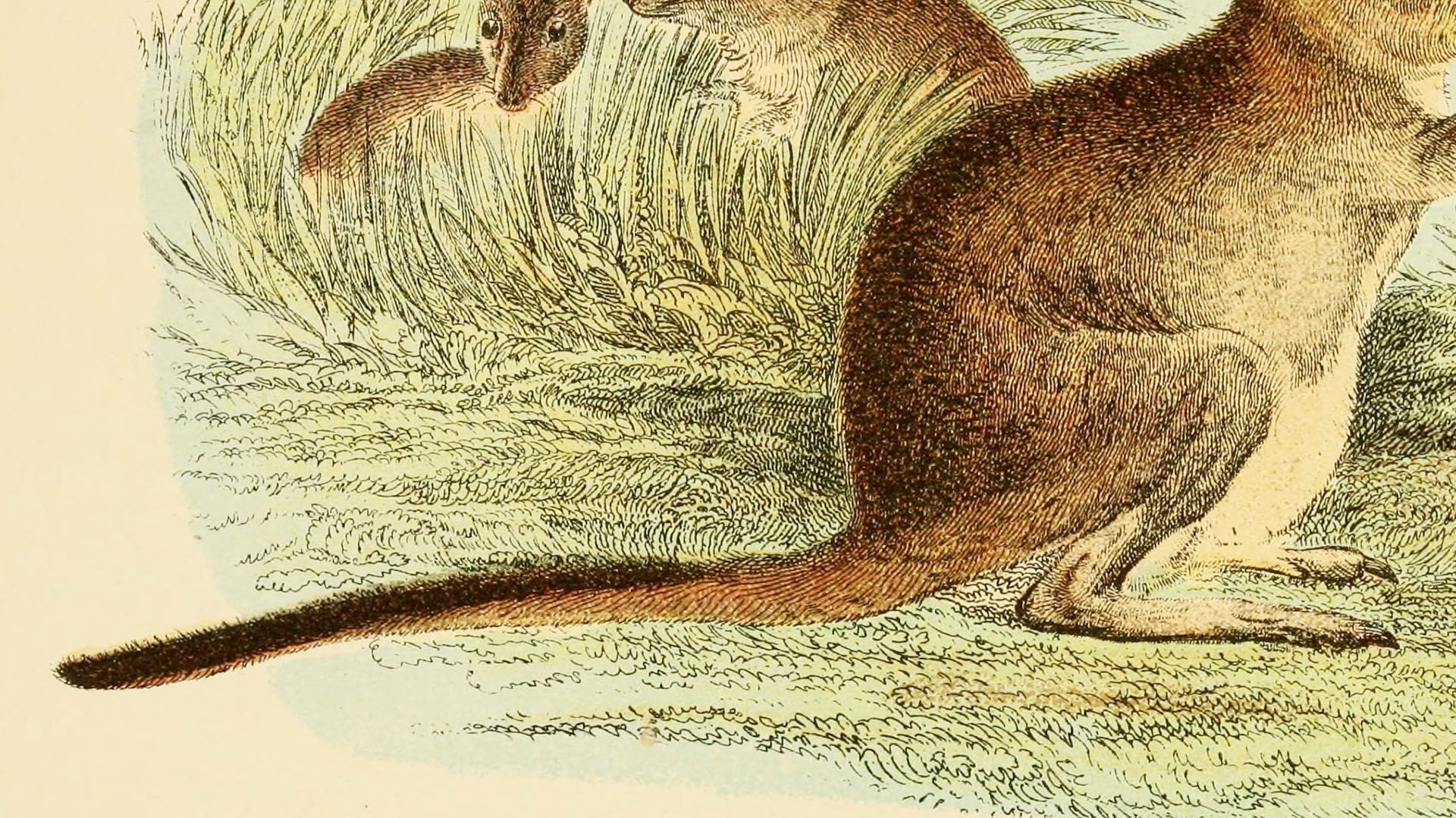 How To Avoid The 7 Terrors Of The Marketing Fire Swamp - Fast Company