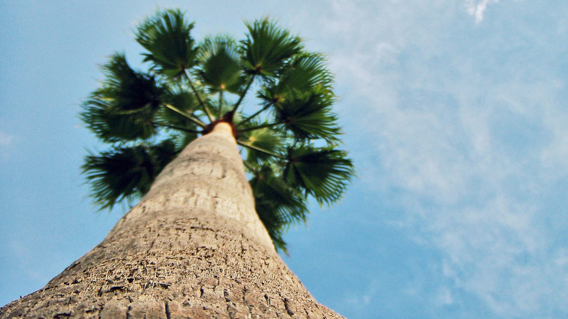 3 Ways To Really Put The "Vacate" Into Vacation - Fast Company