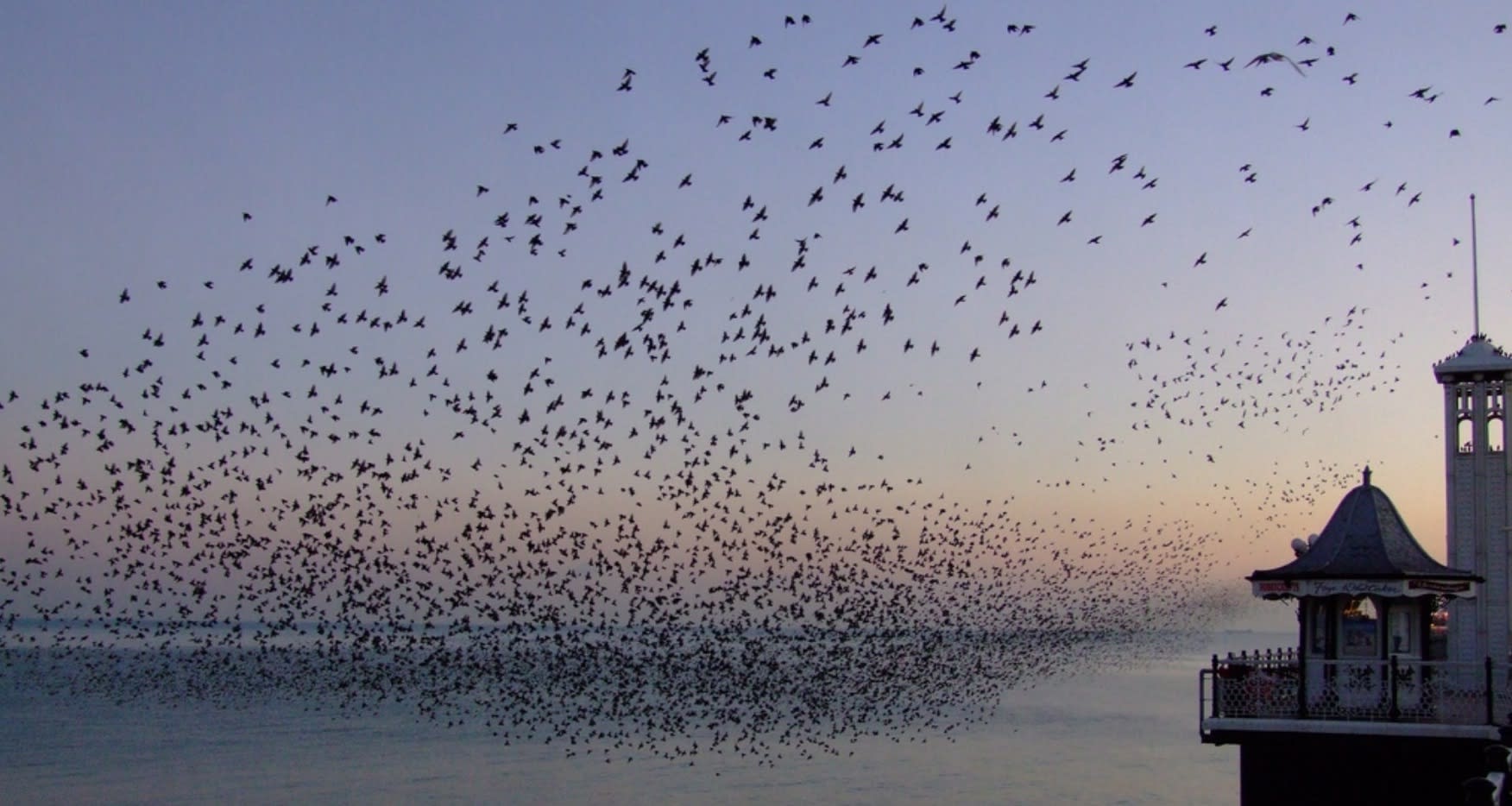 How Twitter Keeps Its Billions Of Messages Flying Through The Air ...