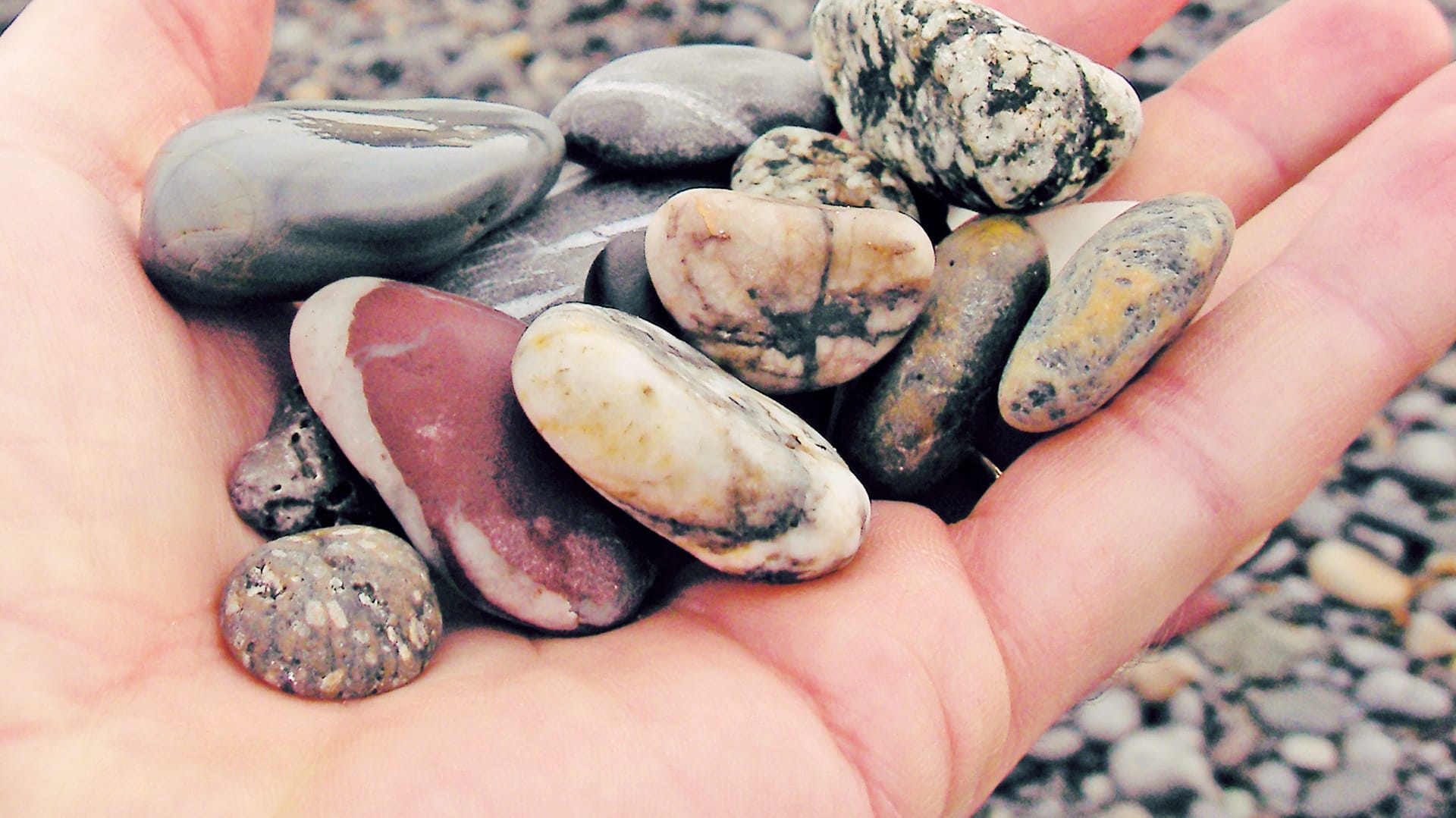 How Two Bowls And A Handful Of Pebbles Could Help Solve Communication ...