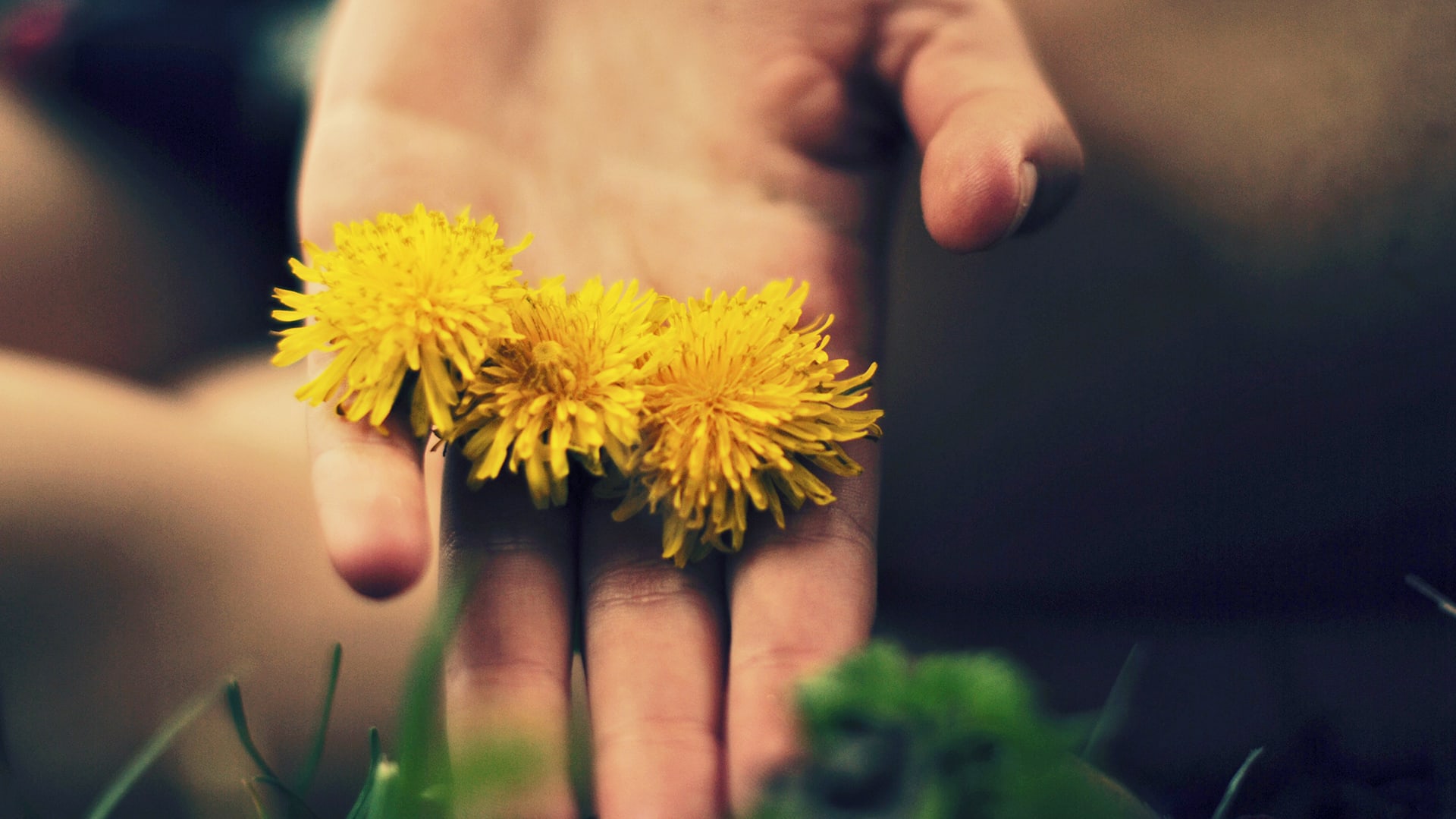 Lawyer, Mother, Novelist: The Productivity Secret Of A Master ...