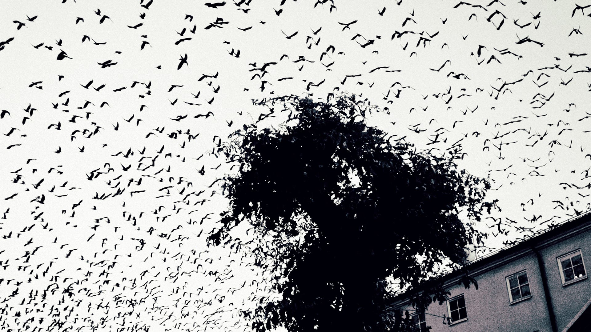 Shelter From The Storm: Why Brainswarming Is The Future Of ...