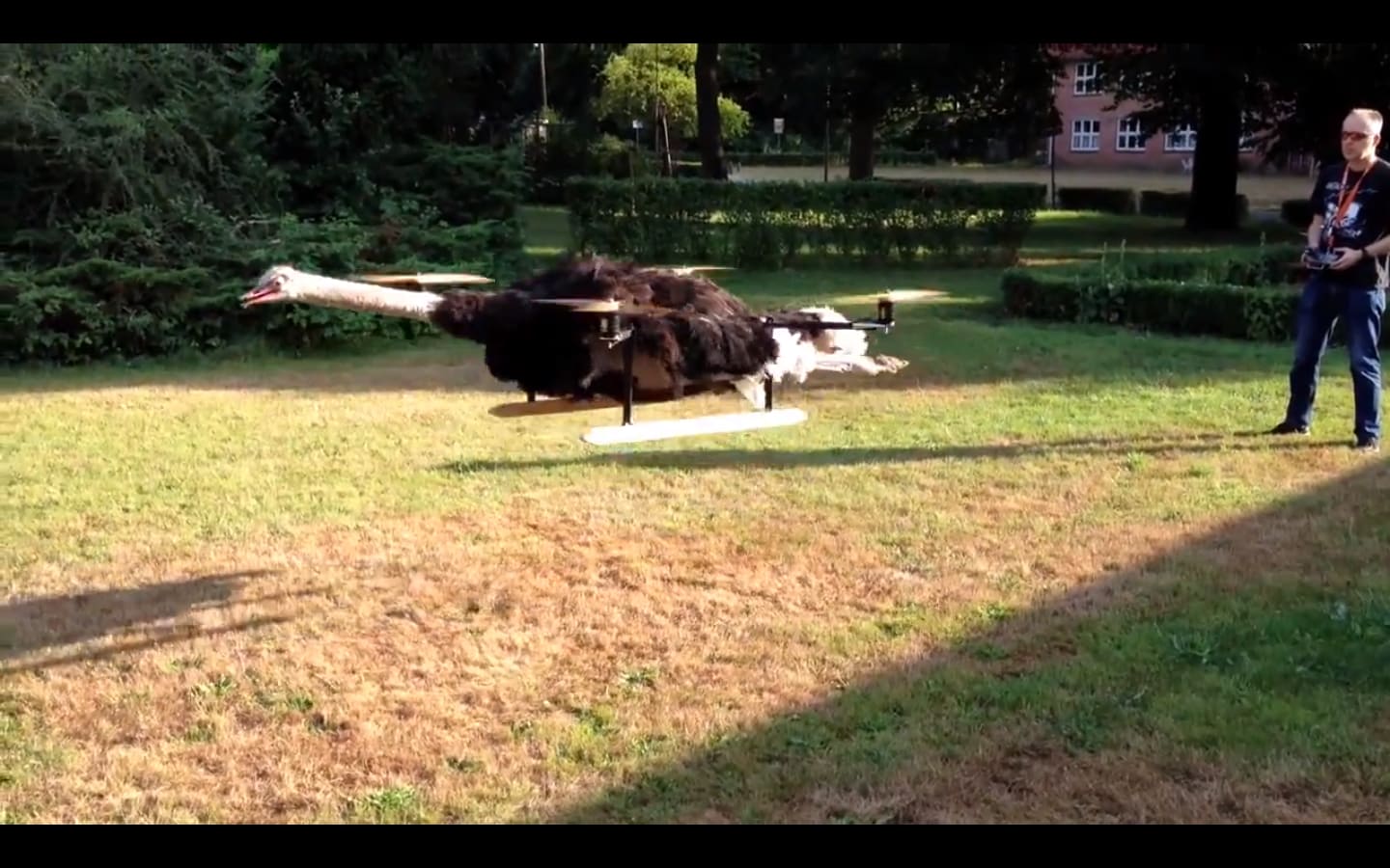 Man Who Created A Drone From His Dead Cat Concocts The OstrichCopter ...