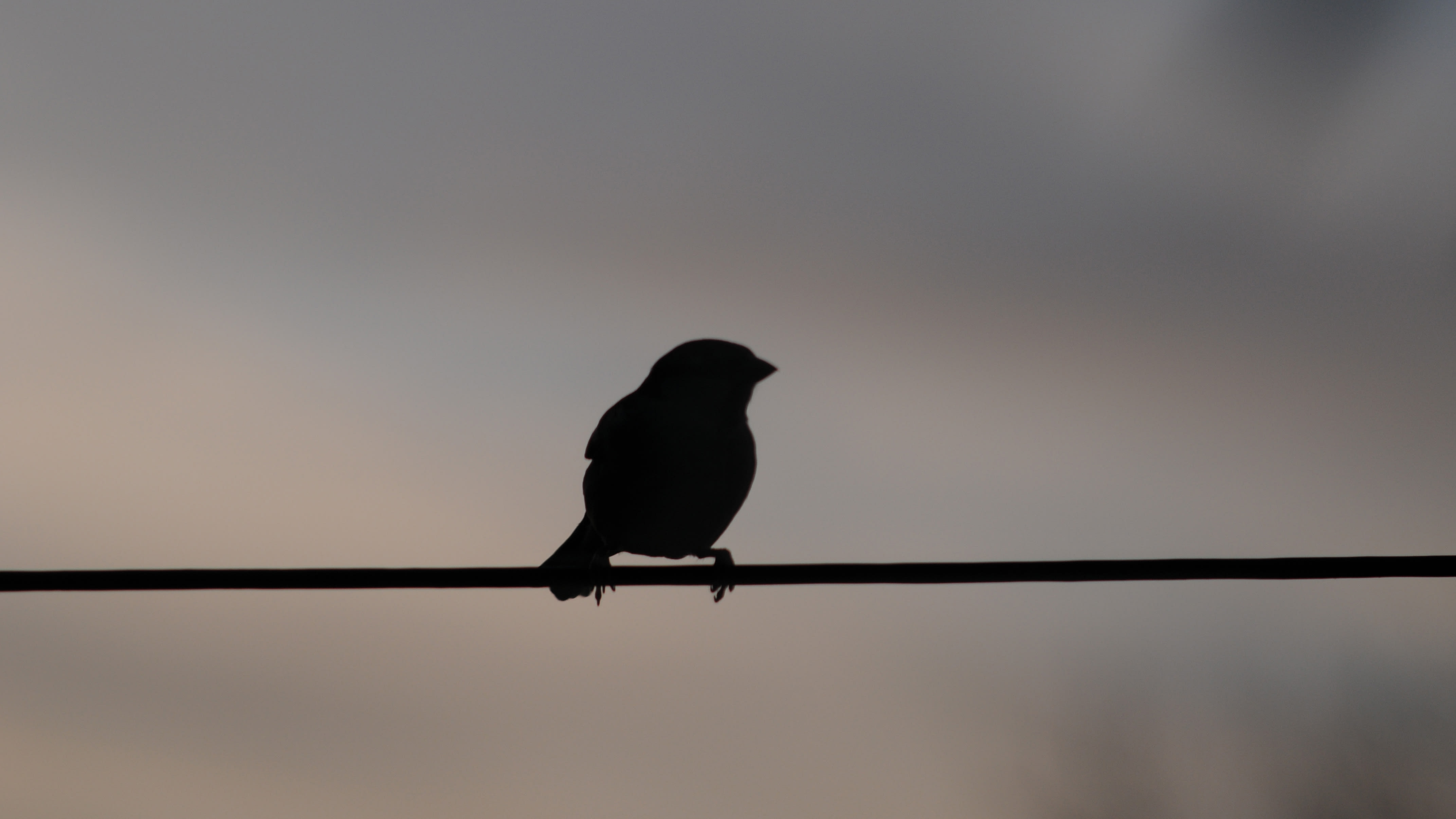 Twitter Closes The Loop Between Popular Tweets And The News Stories ...