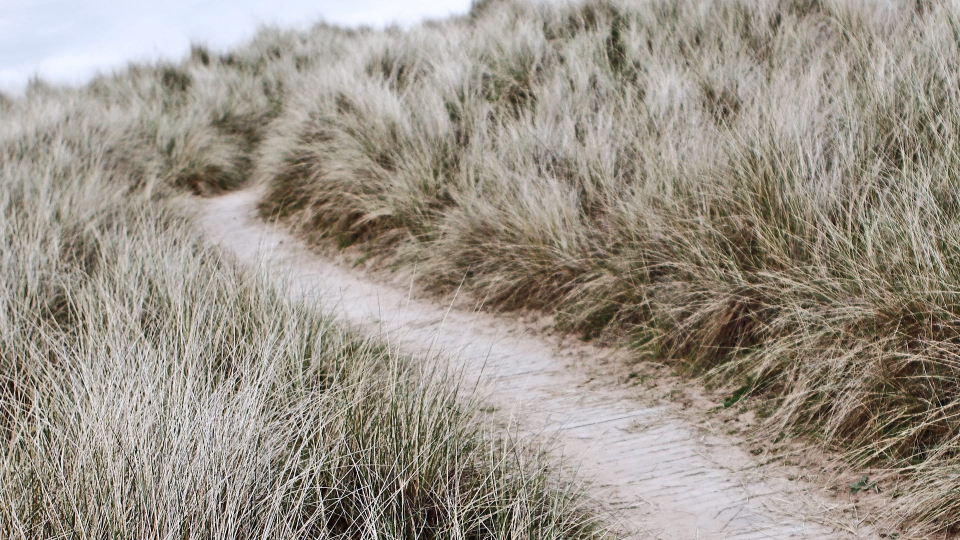 Wait, What's That? The Science Behind Why Your Mind Keeps Wandering ...