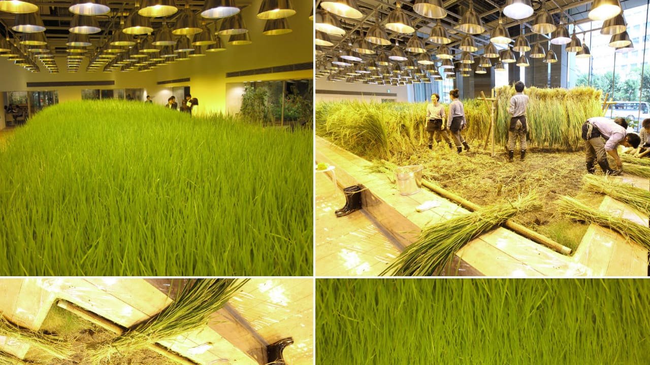 These Office Workers Can Tend Crops While They're In Boring Meetings ...