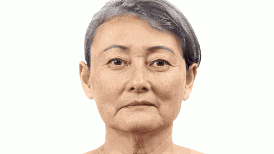 This Digitally Rendered Time-Lapse Video Condenses a Lifetime Into 5 ...