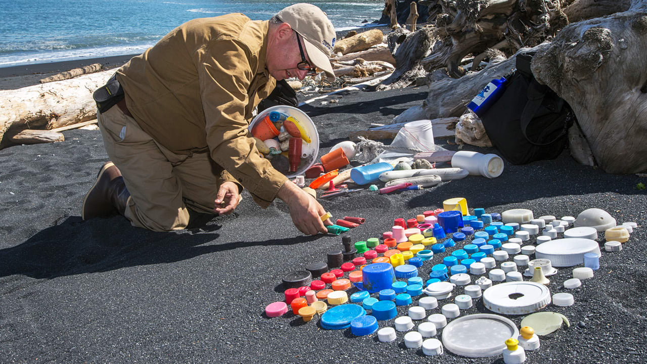 The Disgusting Plastic Trash We Throw In The Ocean Looks A Lot Better ...