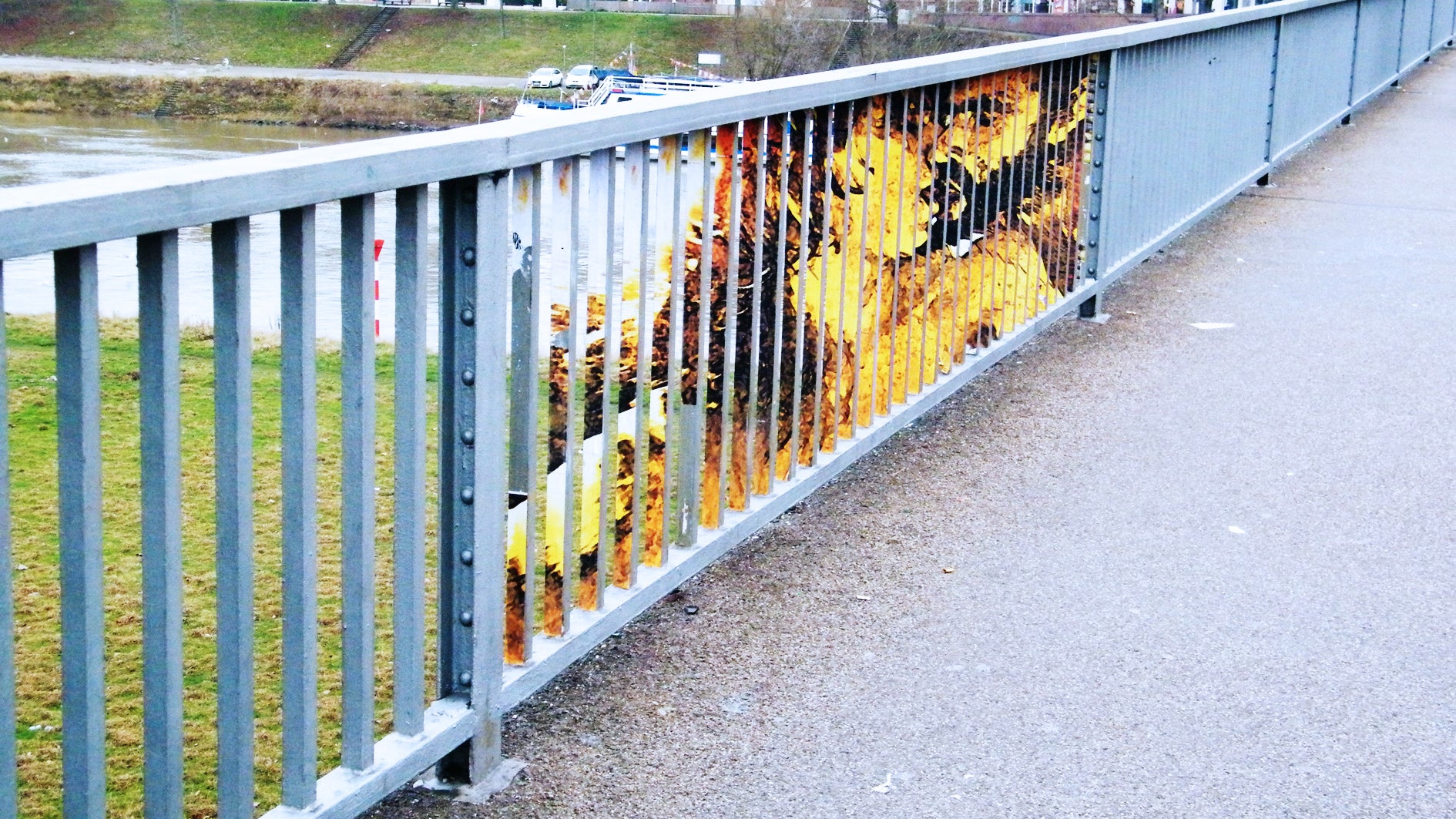 You Can Only See This Beautiful Street Art If You Have The Right ...