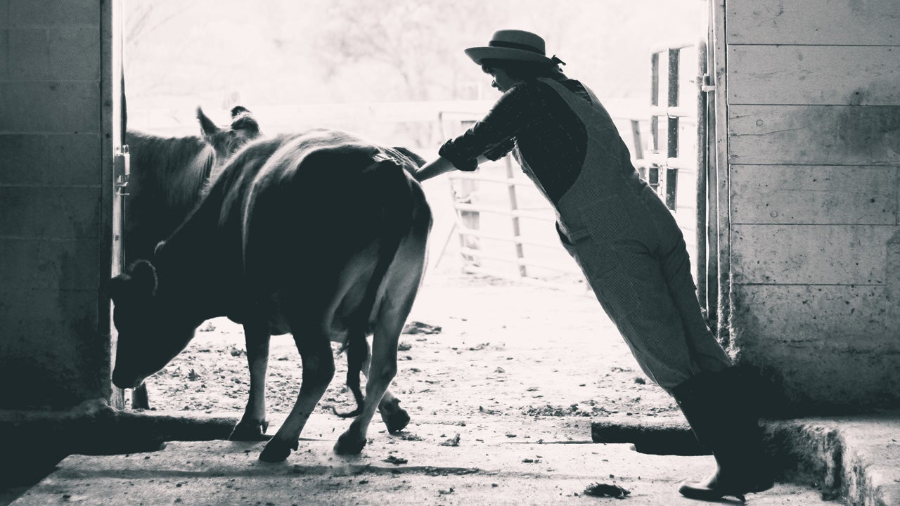 Fabulous Photos of Female Farmers Show Agriculture Changing-One Woman ...