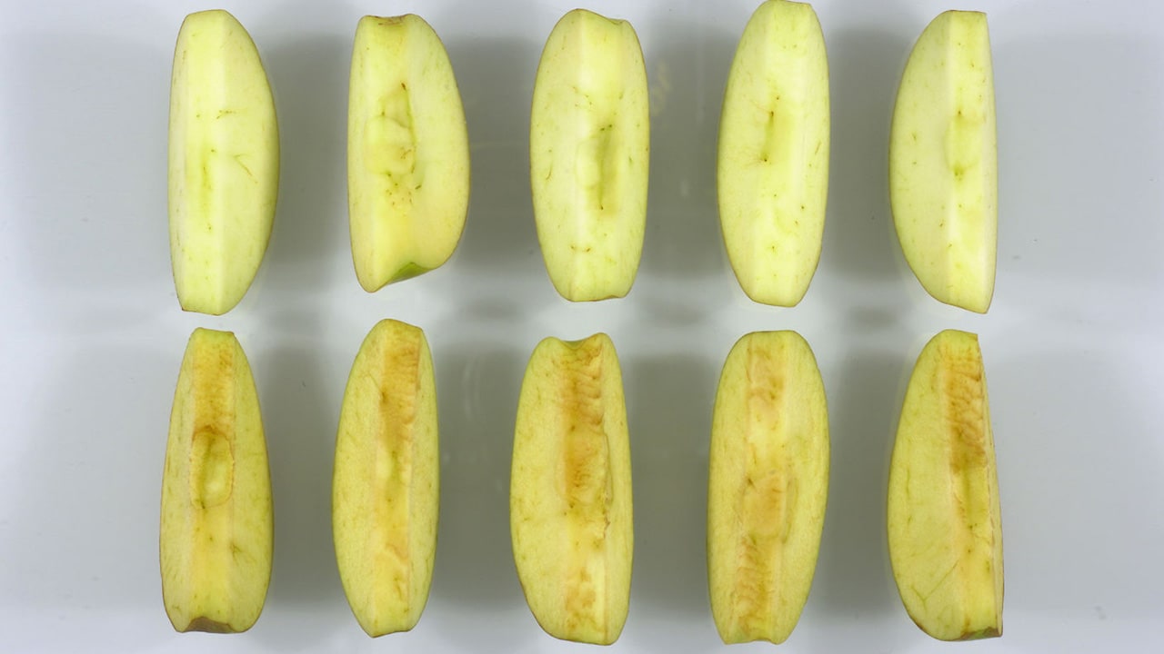 Will You Ever Get A Genetically Modified Apple In Your McDonald's Happy ...