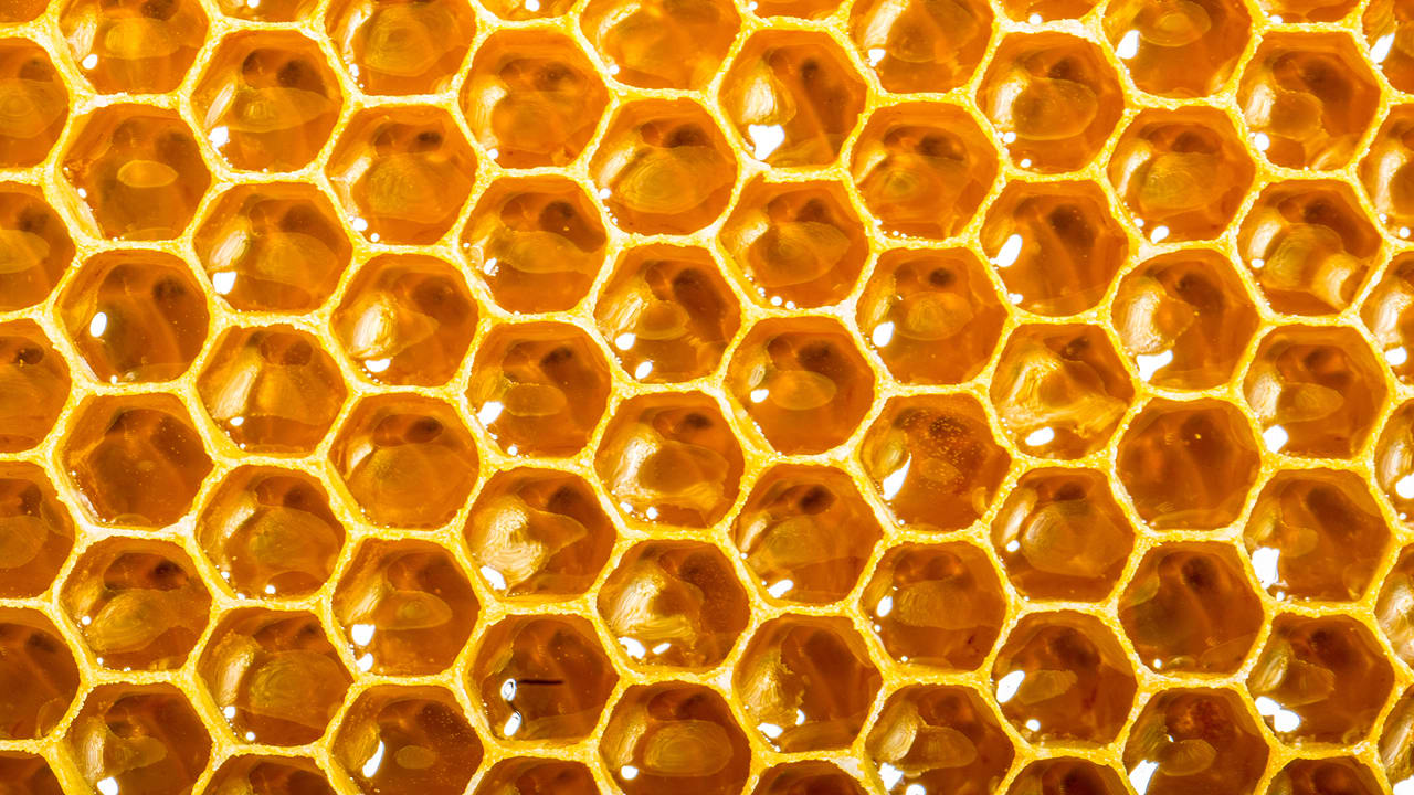 Can A Smart Beehive Network Of Open-Source Hives Help Stop The Bee Apocalypse? - Fast Company