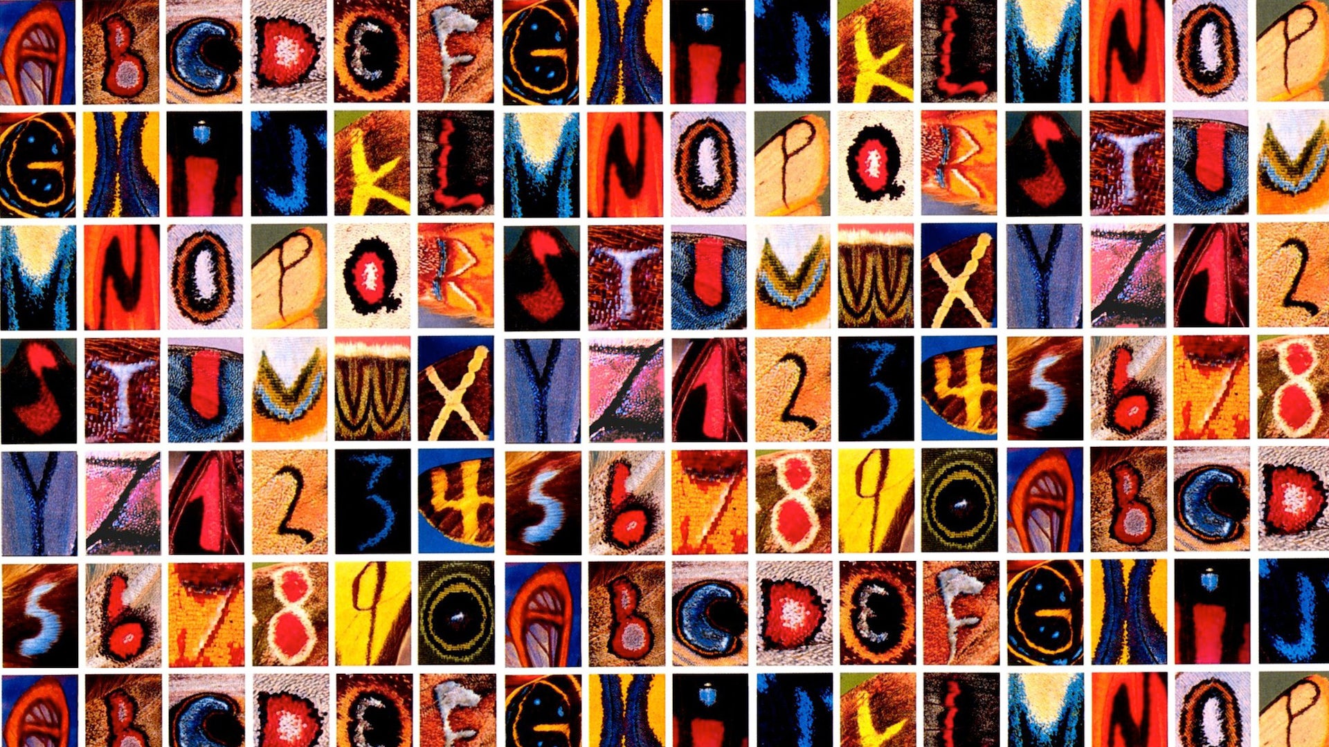 This Alphabet Is Made Entirely From Letters Found On Butterfly Wings ...