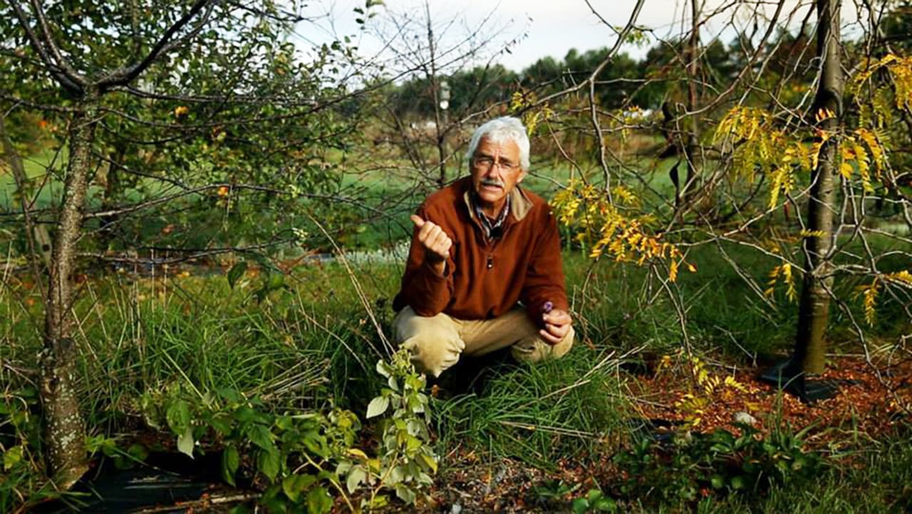 Forget Organic: This Farmer Has 100 Types Of Fruit Trees In His ...
