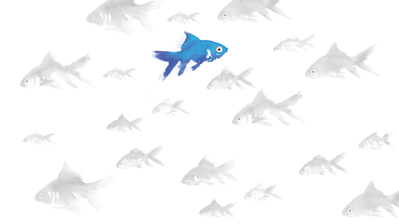 Introducing Show up Differently - Fast Company