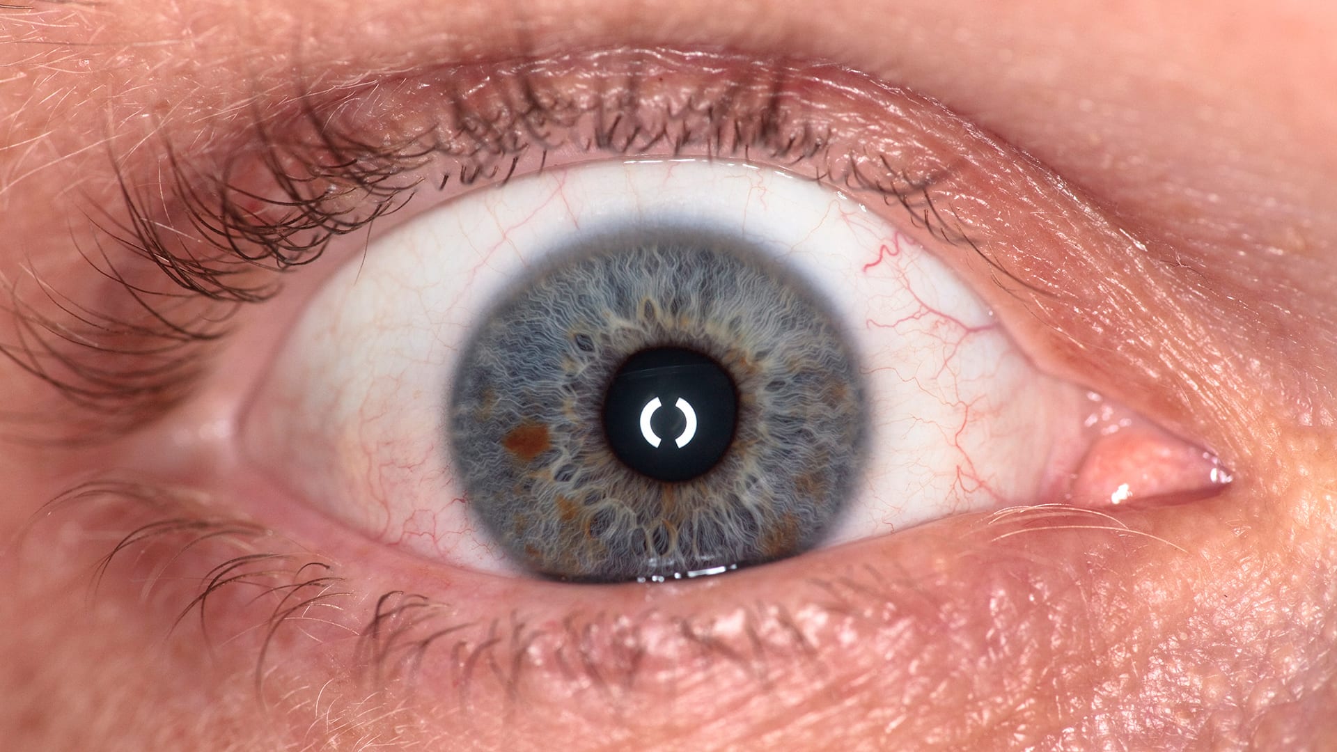 These Artificial Eyes Are Hauntingly Beautiful-And Made By A 3-D ...