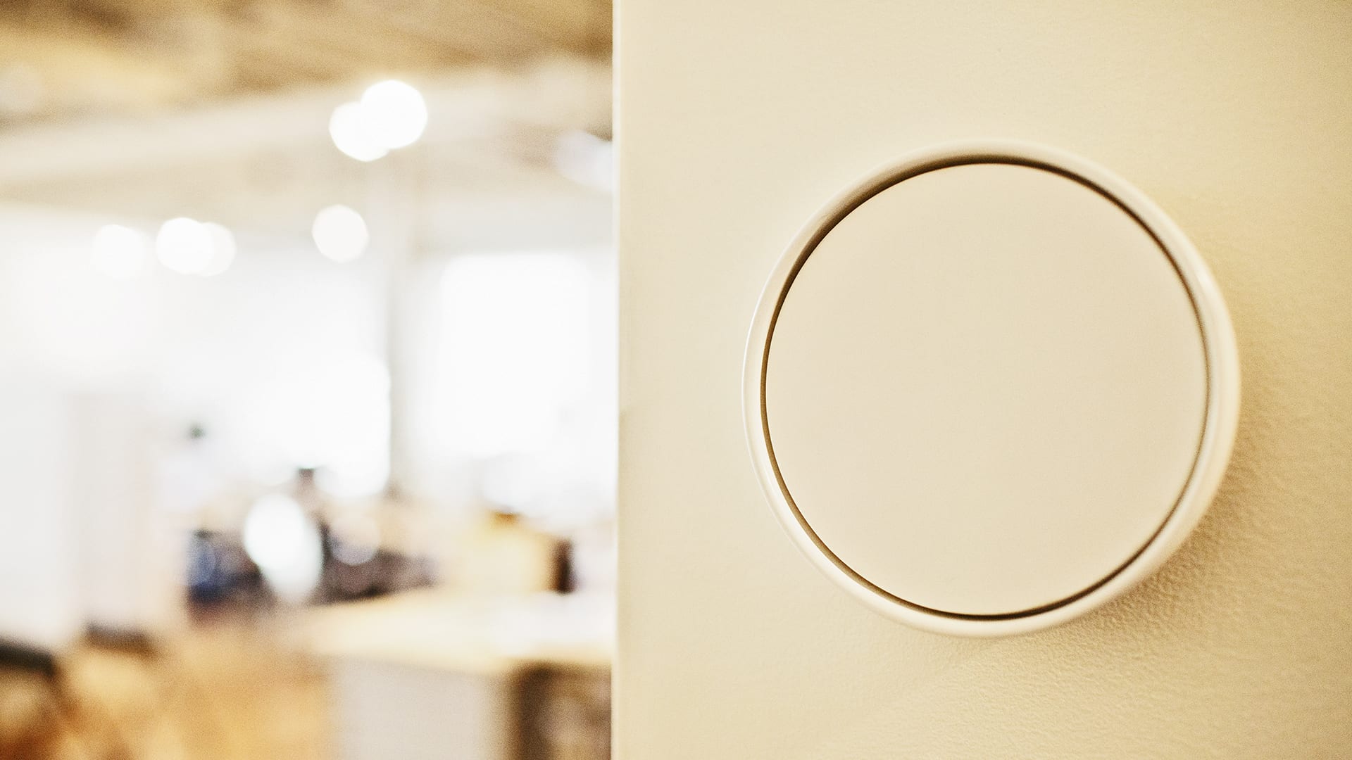 Birdi, The Anti-Pollution Smoke Detector, Tries To Light A Fire On ...