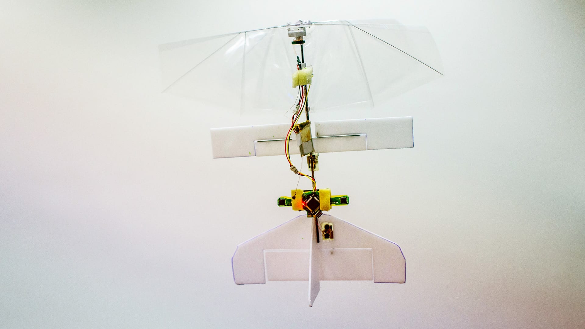 Meet The Tiny Drone That Flaps Its Wings Like a Dragonfly - Fast Company