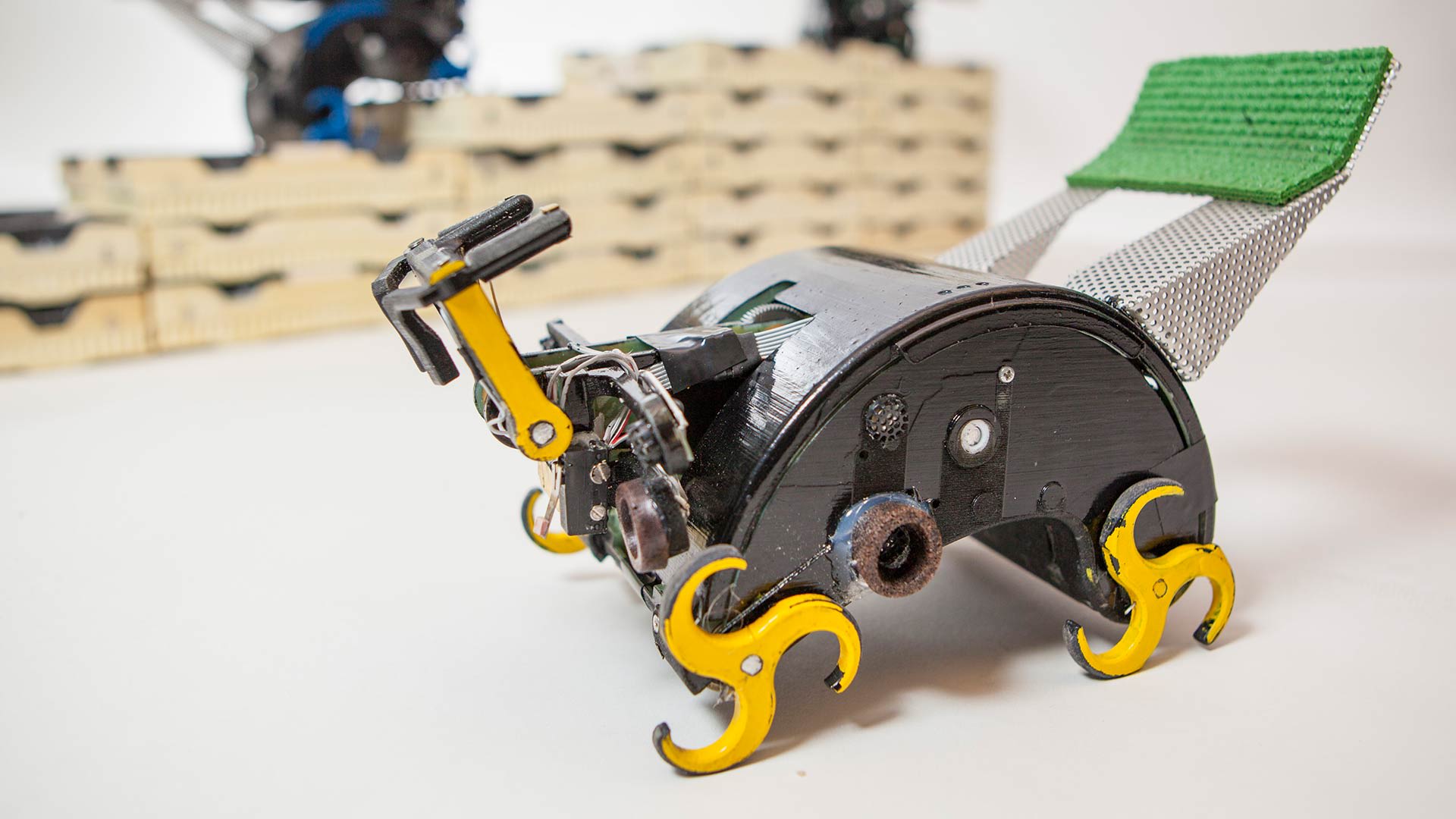 Swarms Of These Adorable Robots Can Build Massive Houses Without A ...