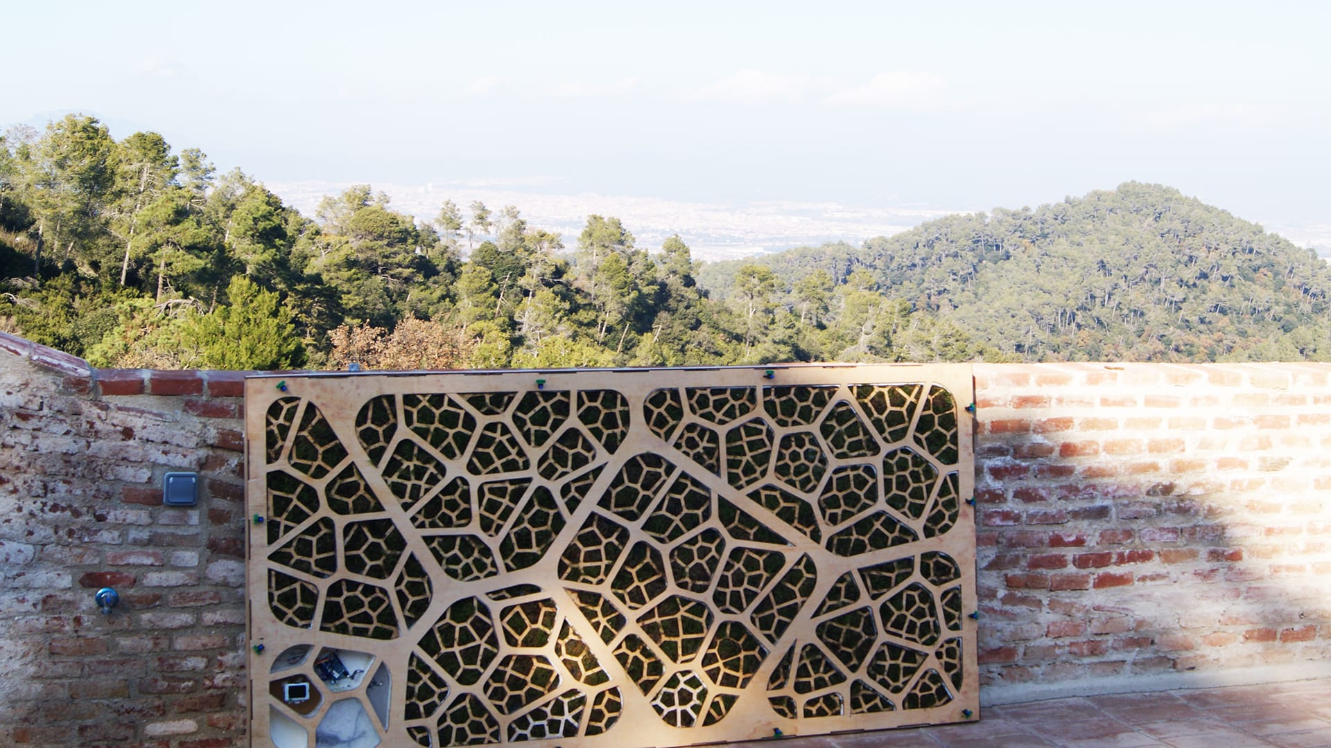 Bio-Based Solar Panels That Could Run On Dirt And Plants - Fast Company