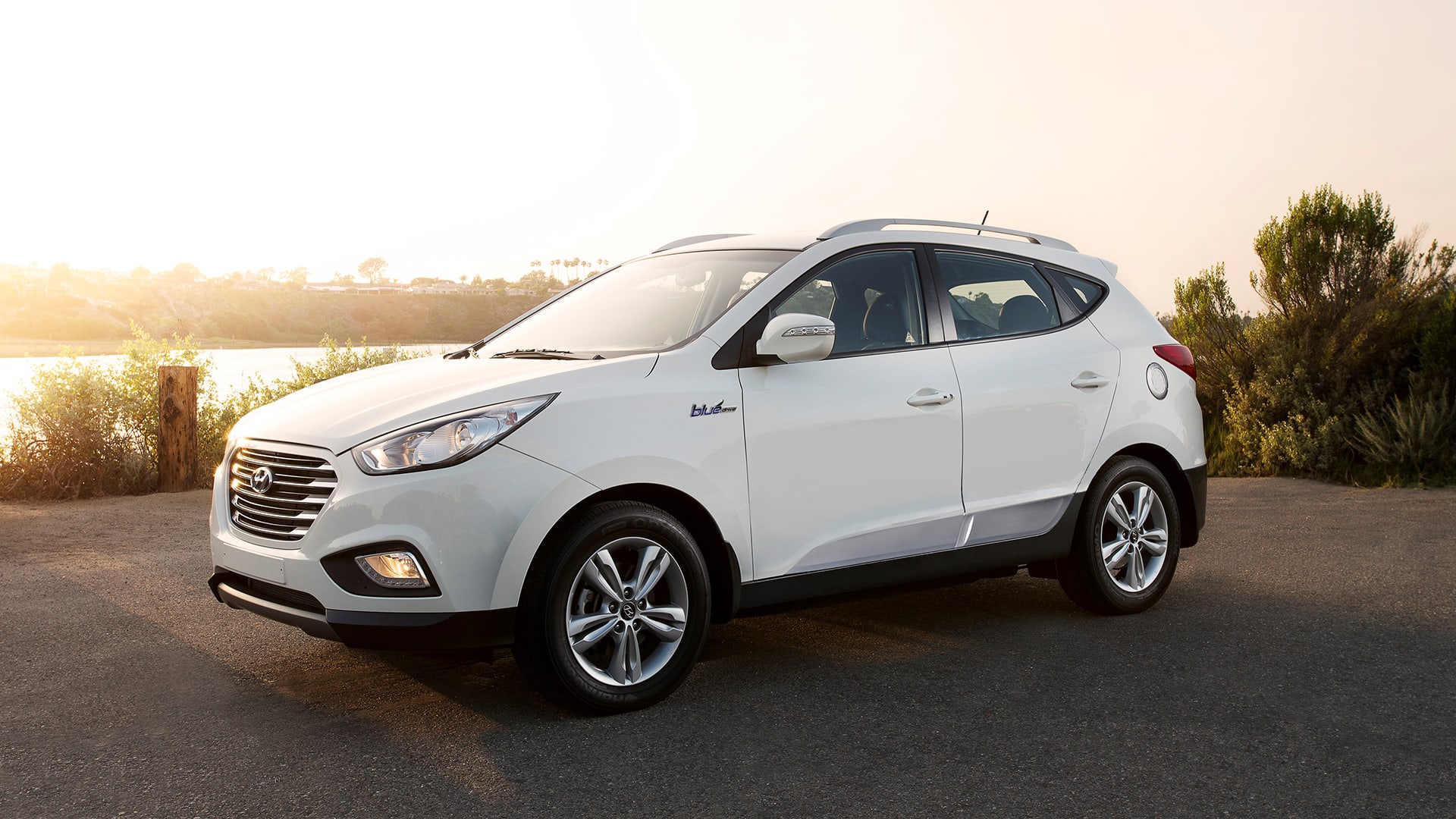 This New Hyundai Car Runs On The Poop Of California Residents, And The ...