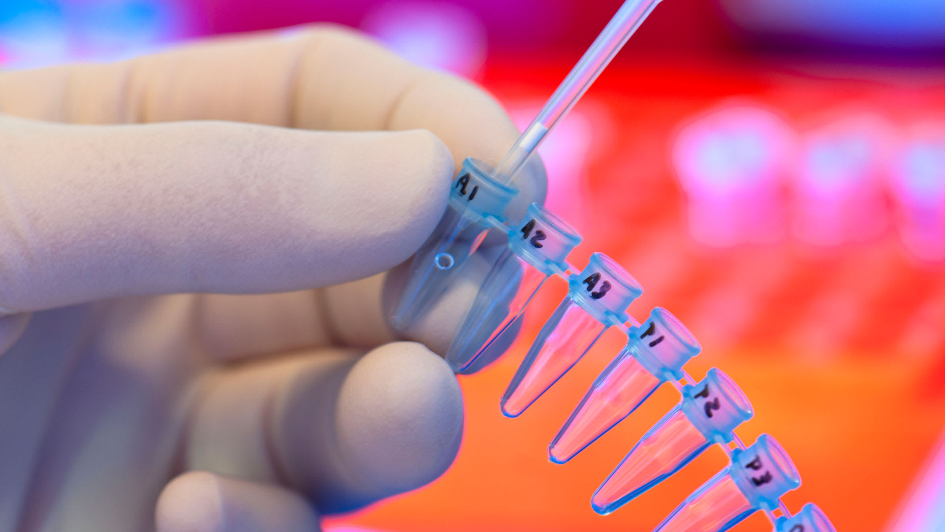 How To Decode A Genome In Just A Single Day - Fast Company