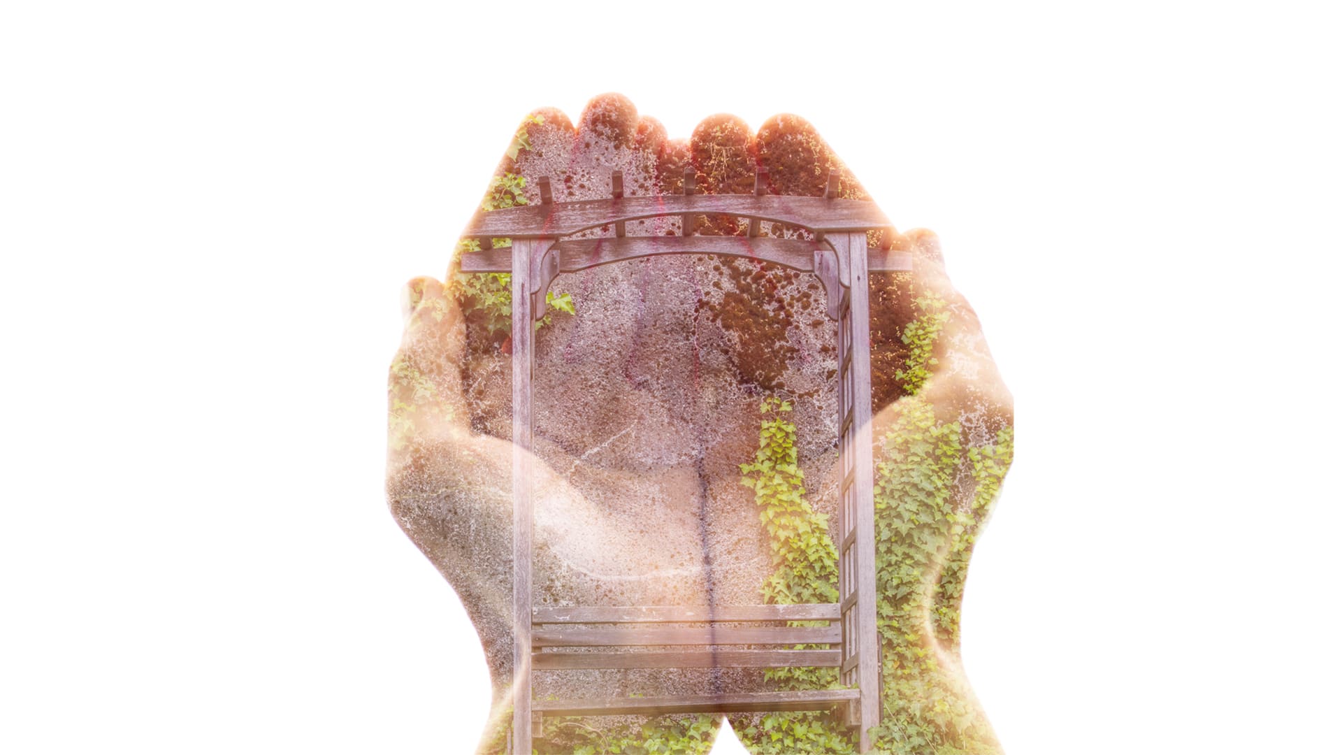 How Participant Media Gets You To Care About Making The World A Better ...